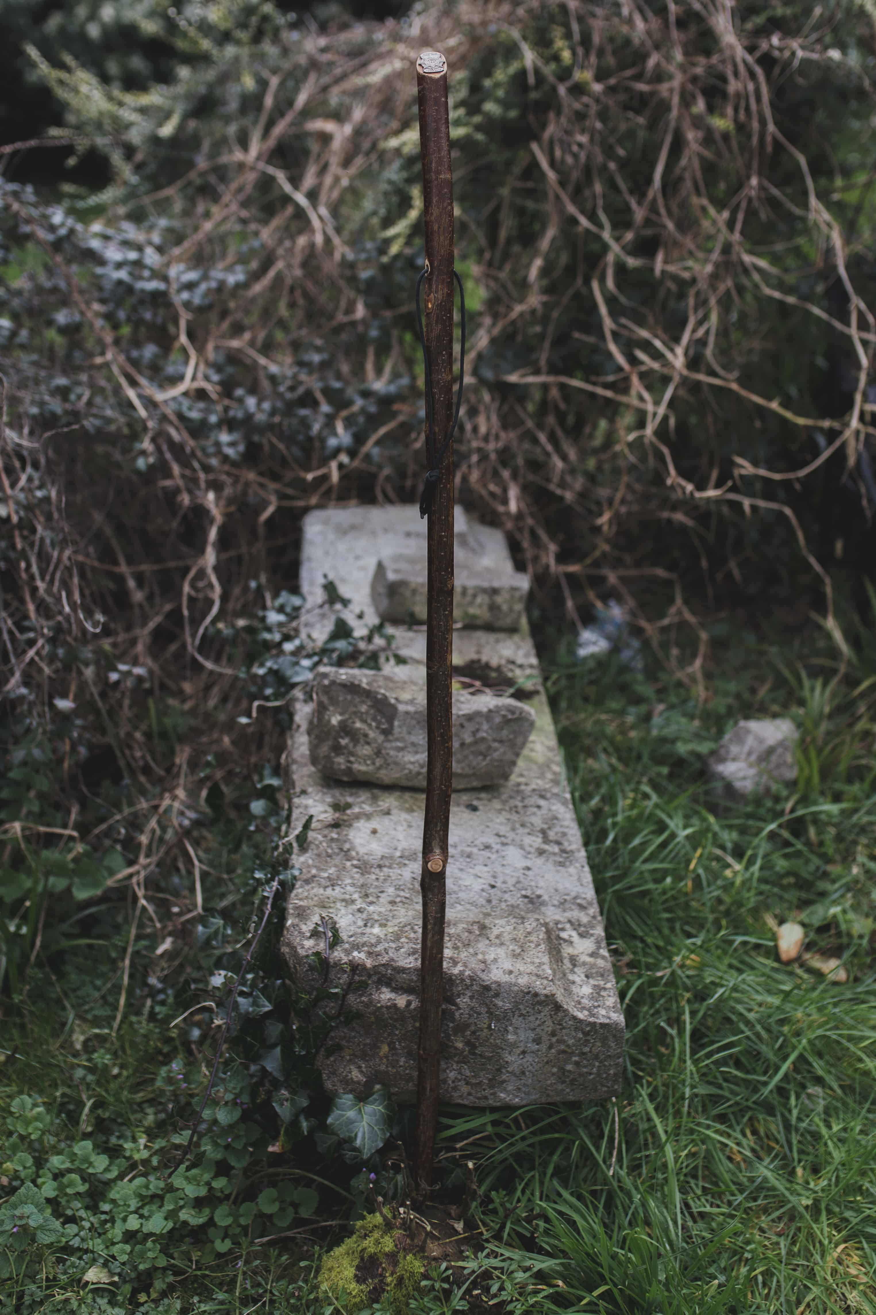 Maide Connemara